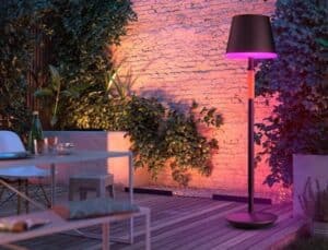Two new variants of the Philips Hue Go have been revealed - Hueblog.com